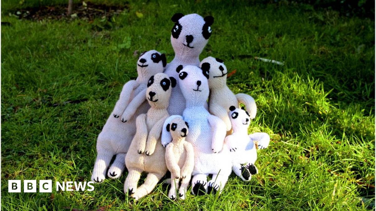 Zoo volunteers' animal tribute to festive song - BBC News