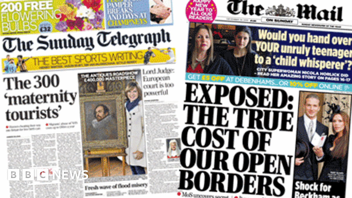 Newspaper review: 'Maternity tourism' and Anelka gesture - BBC News