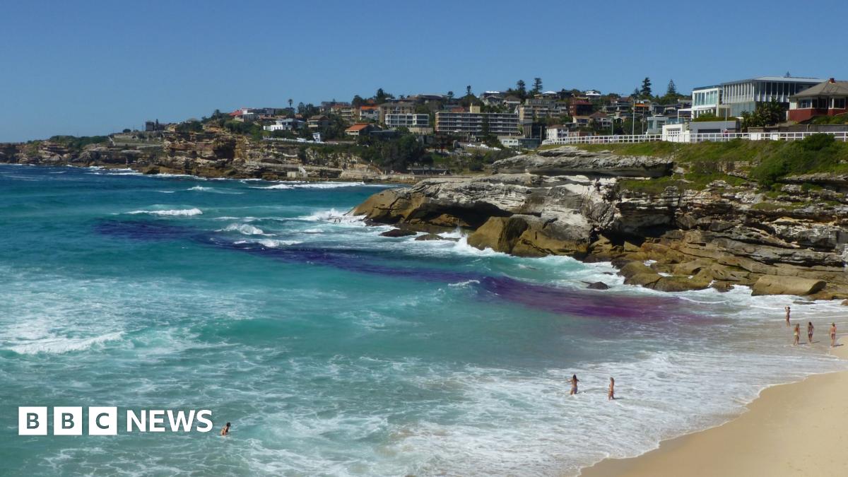 The illusory calm of Australia's deadly ocean currents - BBC News