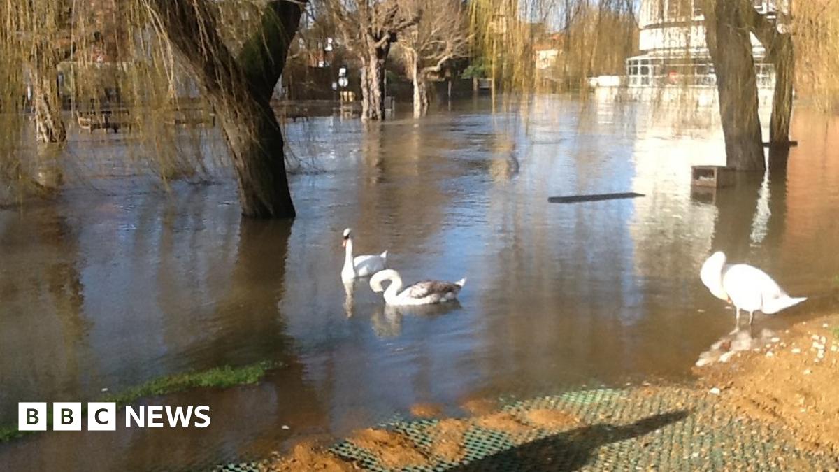 River Wey alert remains amid Surrey flood clear-up - BBC News