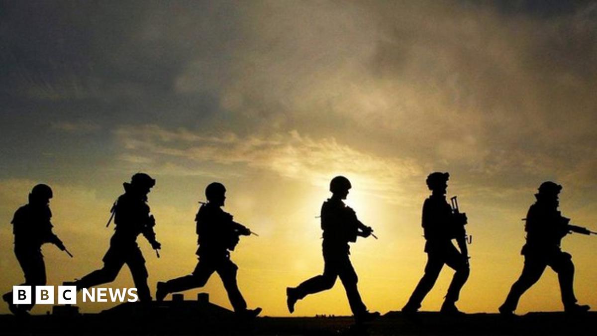 Public perception of armed forces 'a strategic threat', say MPs - BBC News