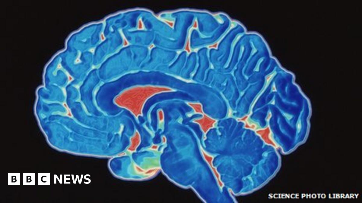 Brain scientists to work with schools on how to learn - BBC News