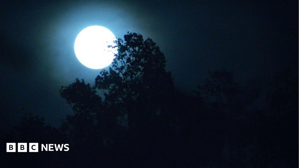 Your pictures: Long and dark nights - BBC News