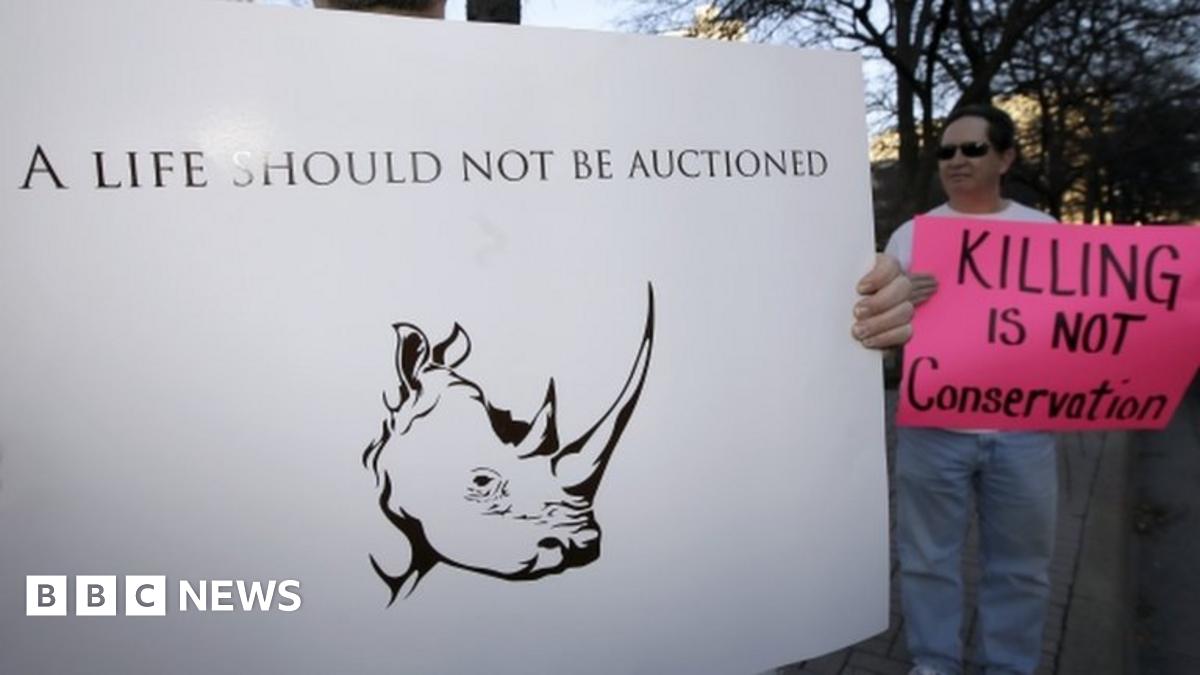US black rhino hunter Corey Knowlton faces death threats - BBC News