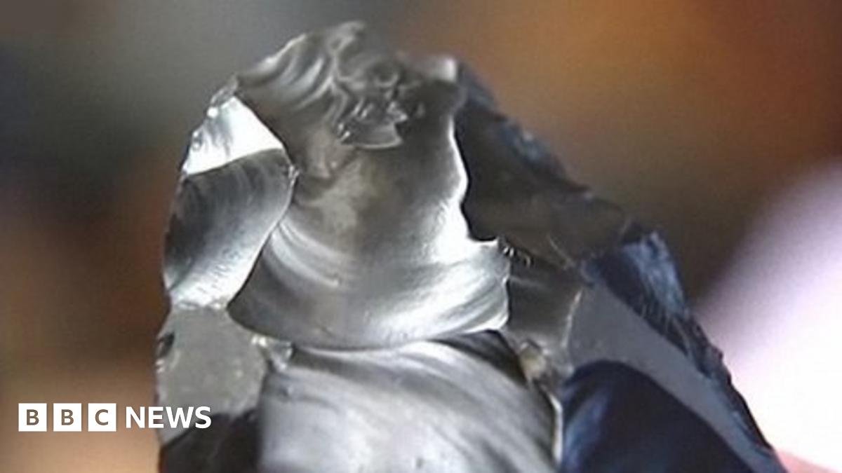 Ancient stone tools found in Norfolk to feature in exhibition - BBC News