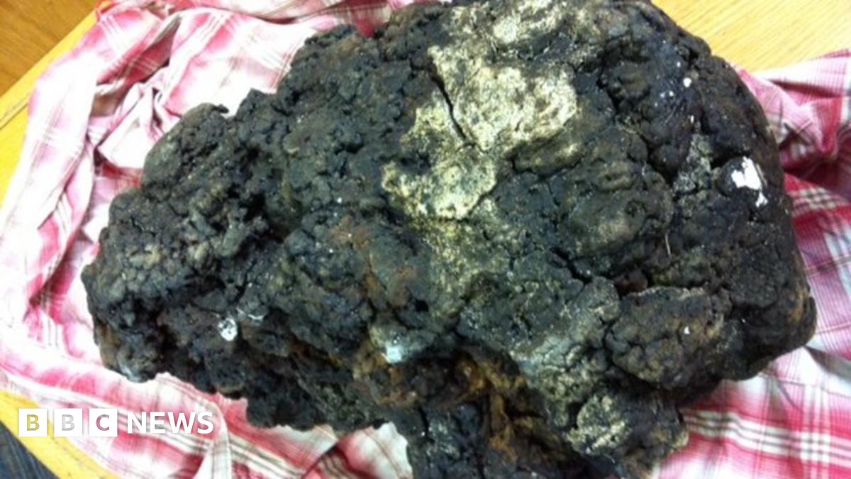 Tests show 'rare ambergris' found on Anglesey is rubber - BBC News