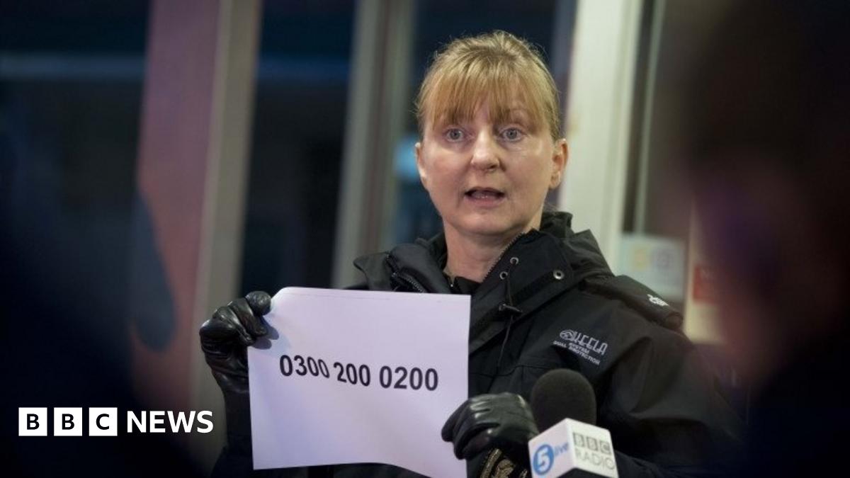 Child Rescue Alerts: How they work - BBC News