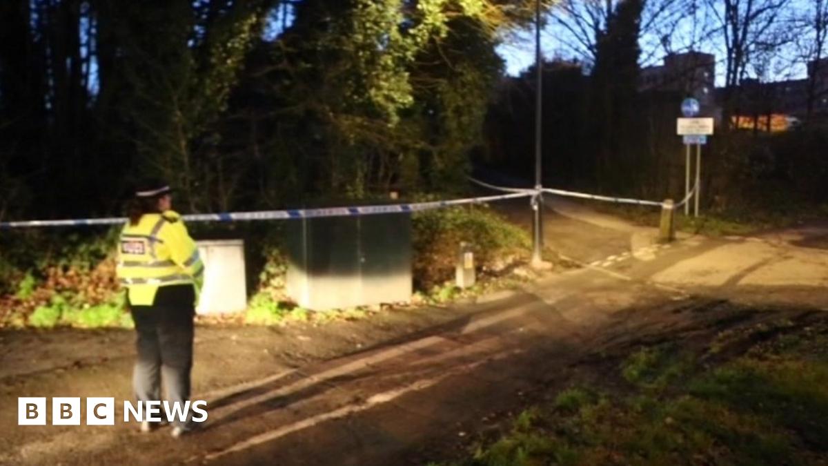 Fourth arrest over Crawley alley murder - BBC News