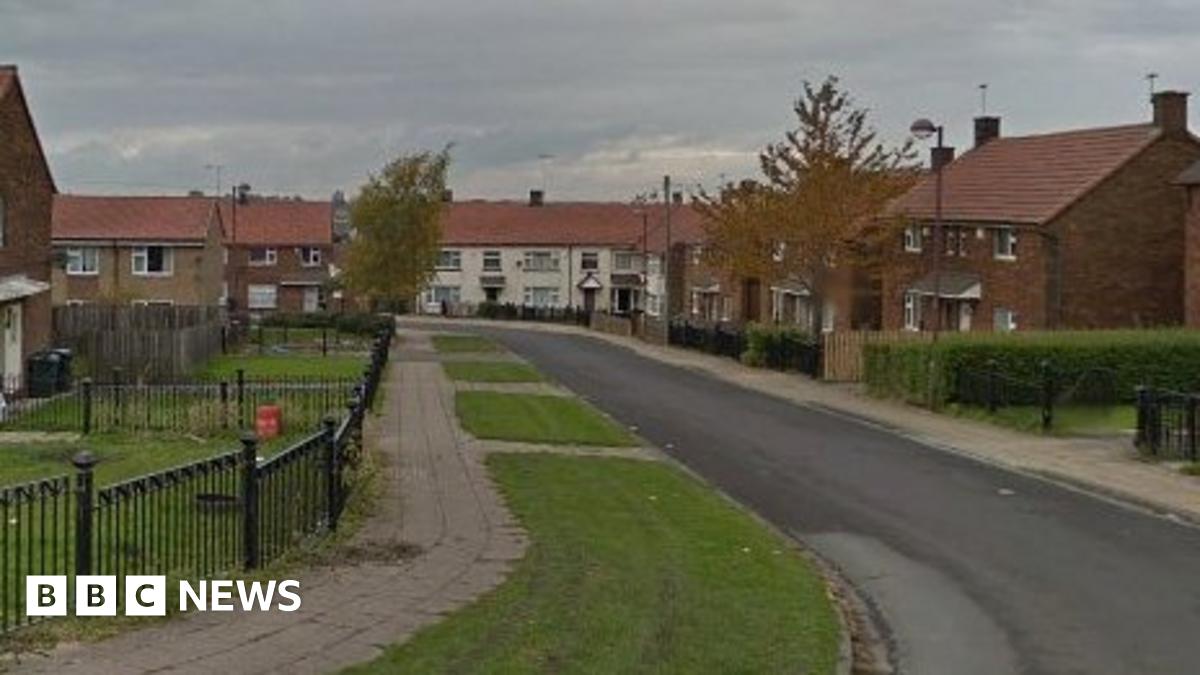 Pony impaled on Bradford street fence rescued - BBC News