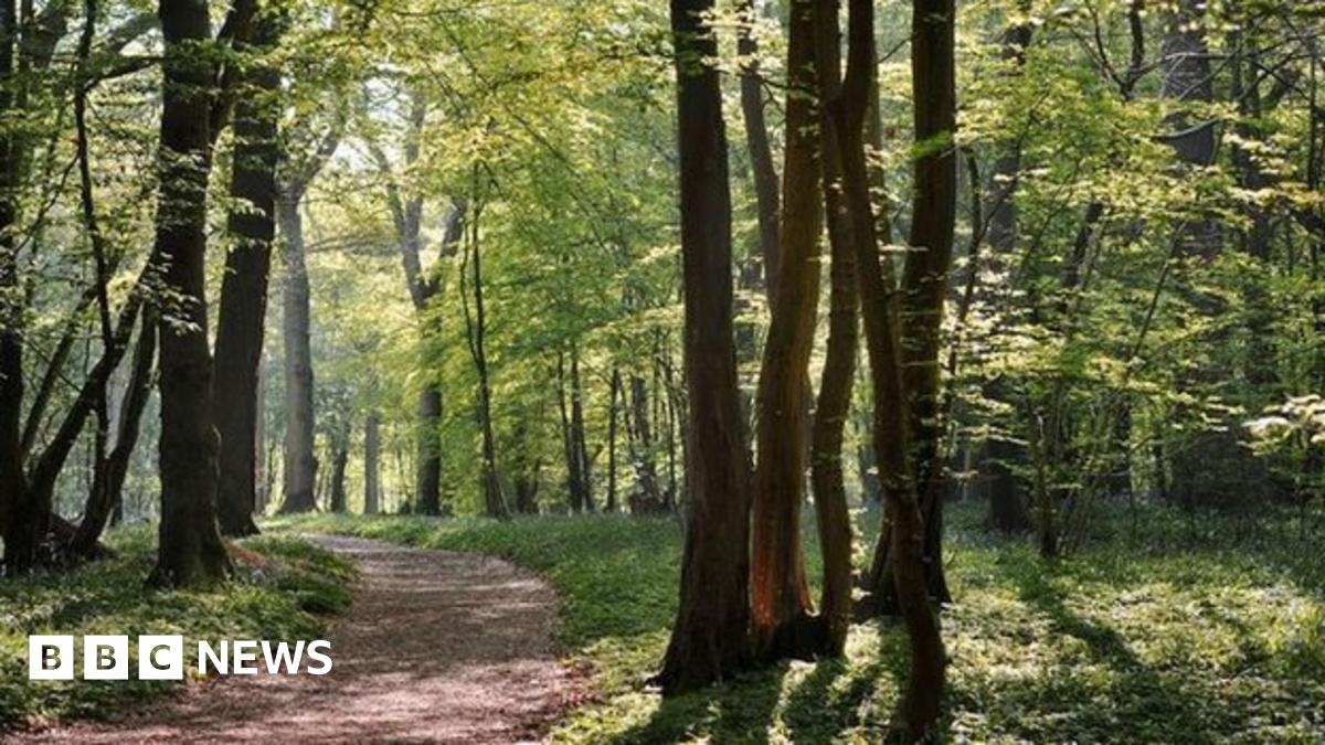 Forest of Dean church bought from the Queen for £1 - BBC News