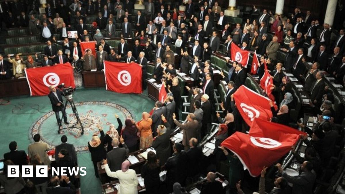 Tunisia assembly passes new constitution - BBC News
