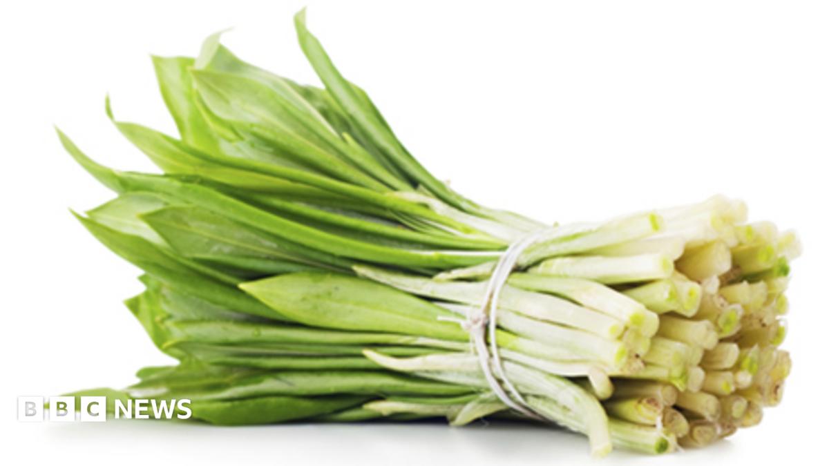 Russia: Garlic picking around Sochi to be 'banned' during Olympics ...
