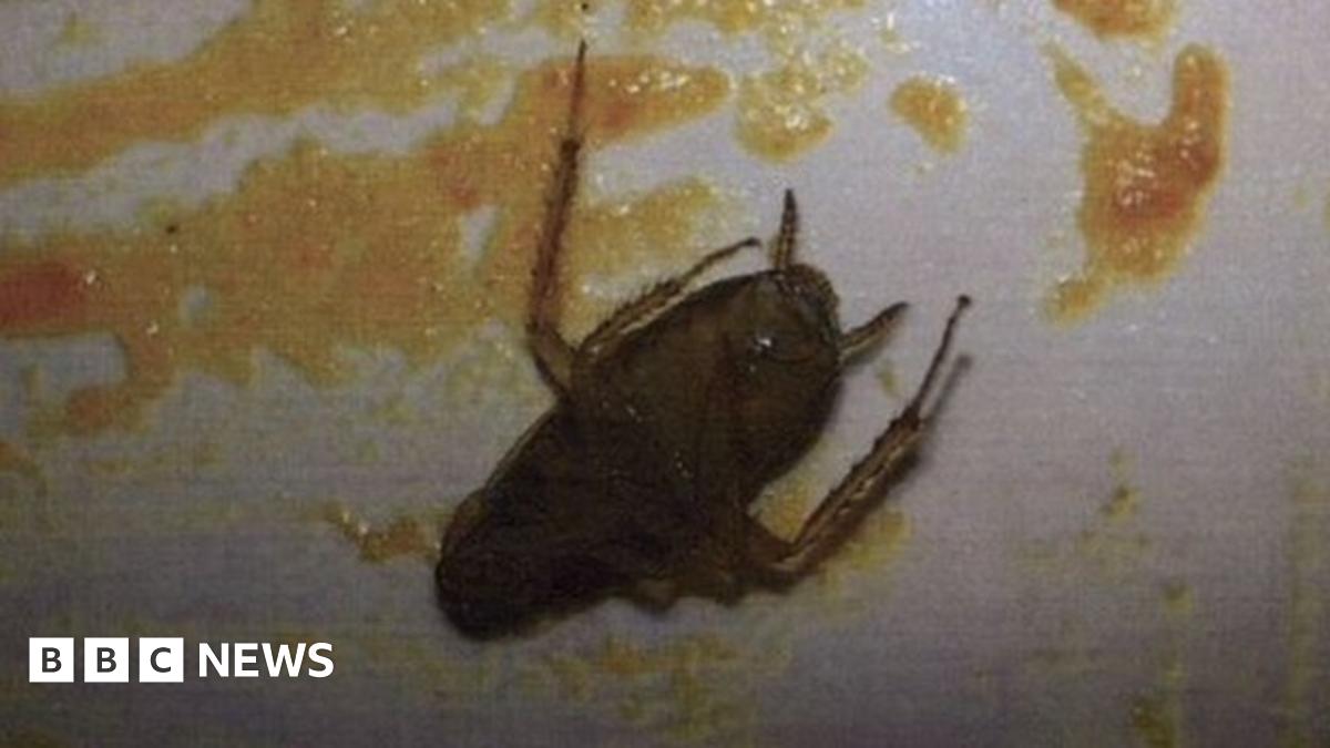 Cromer restaurant closed after cockroach found in curry - BBC News