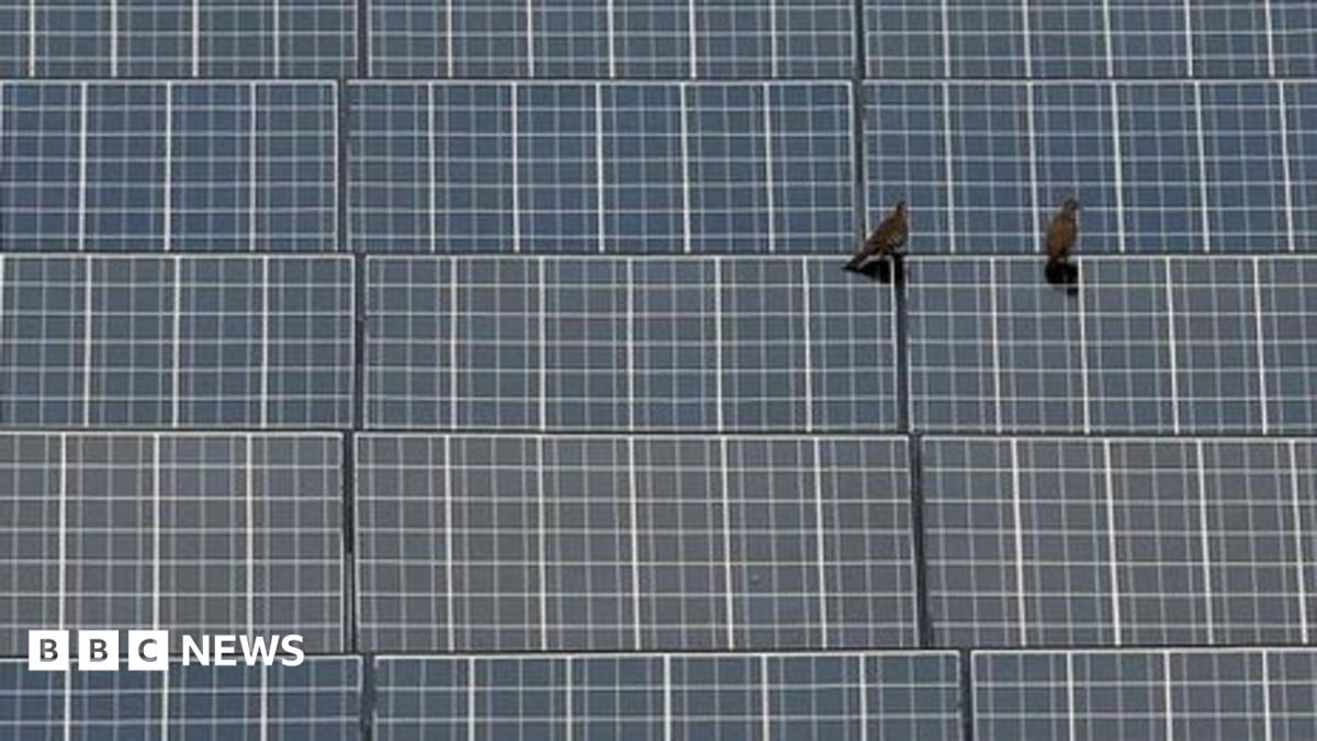 Salhouse solar farm approved by Broadland District Council - BBC News