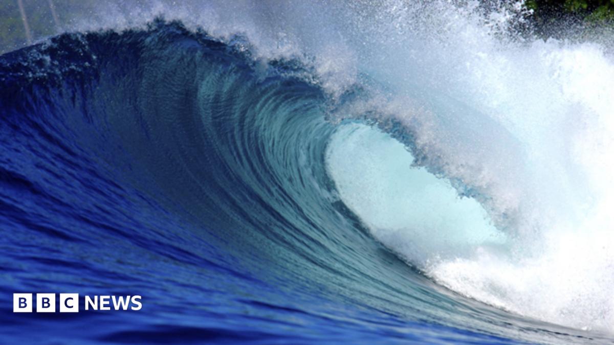 Who, What, Why: How do you measure a wave? - BBC News