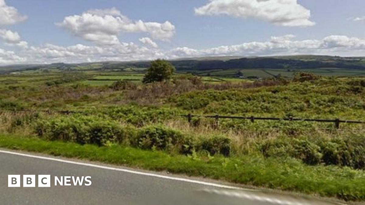 Unexploded grenade on Roborough Down blown-up - BBC News