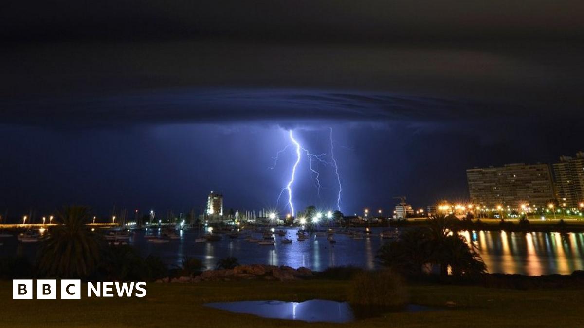 Day in pictures: 10 February 2014 - BBC News