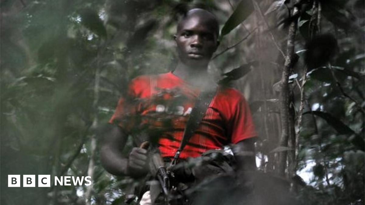 Will FDLR rebels ever leave Congo and return to Rwanda? - BBC News