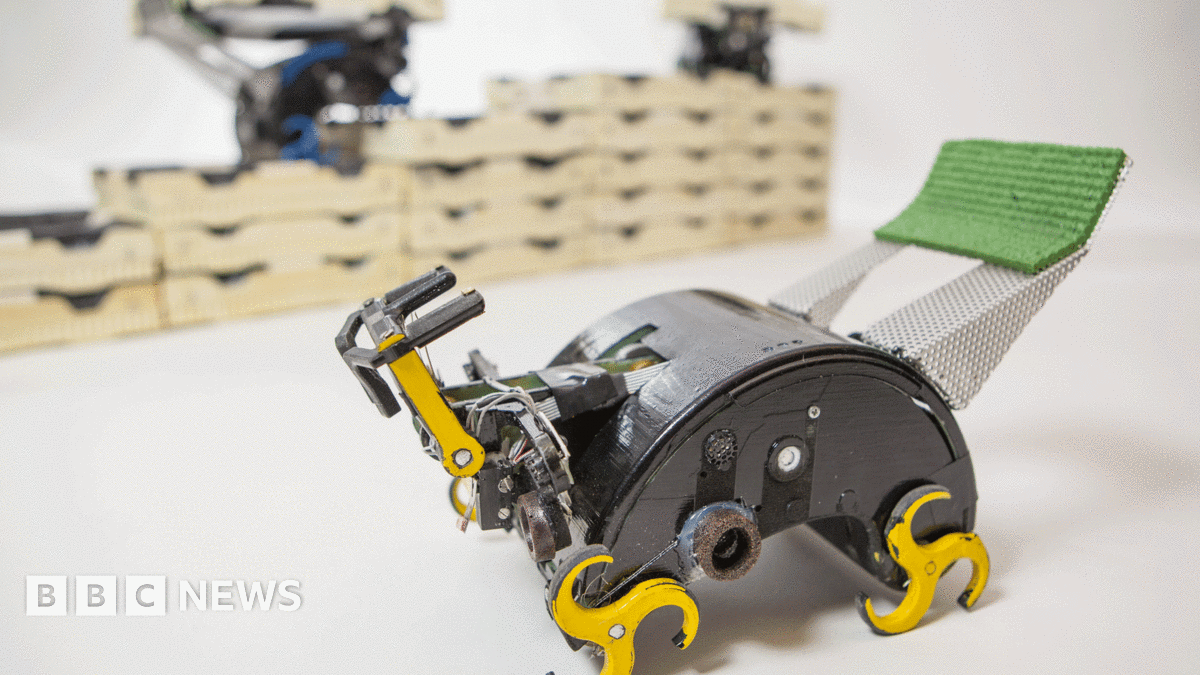 Robot army 'to help alleviate future floods' - BBC News