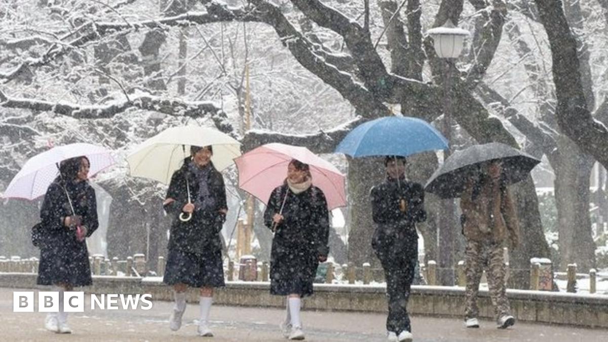 Day in pictures: 14 February 2014 - BBC News