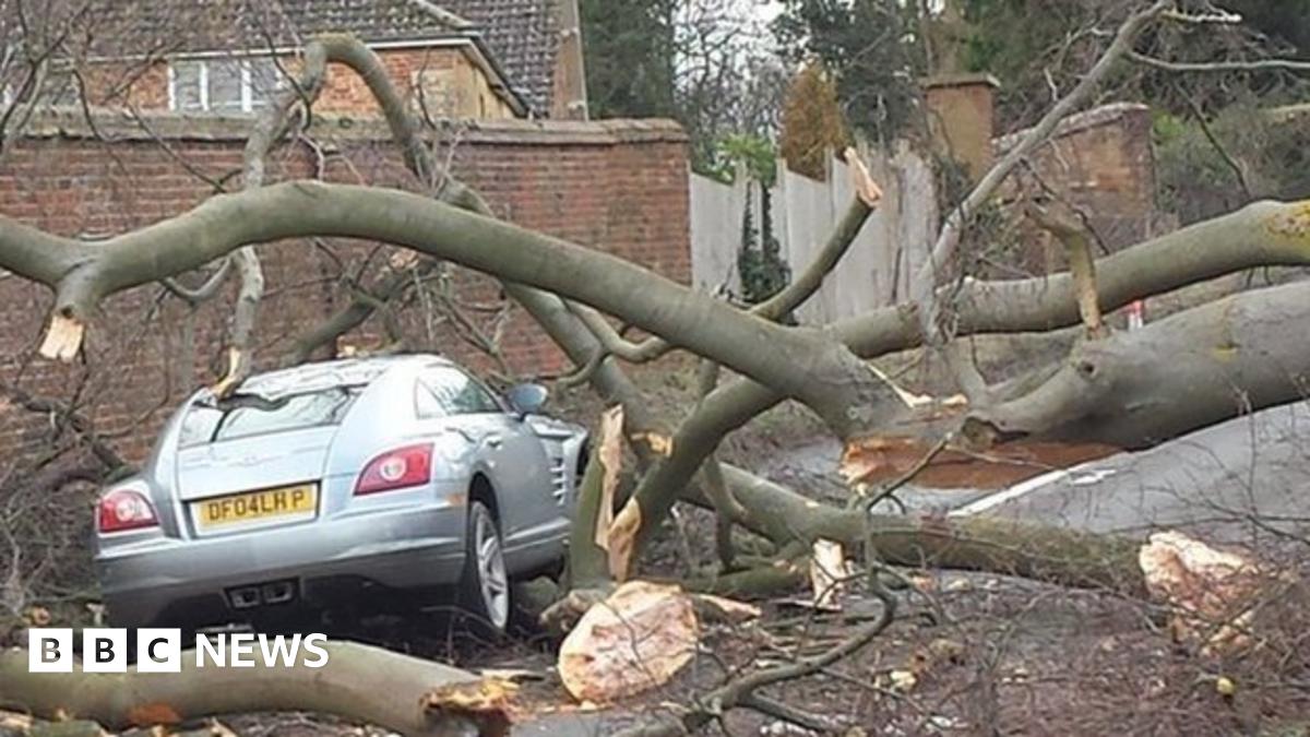UK storm: Damage across counties in the East - BBC News