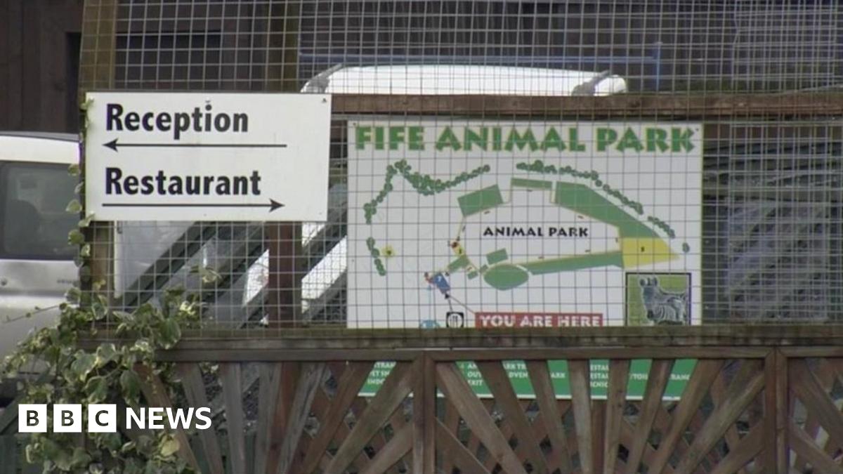 Animals' futures in doubt after Fife Animal Park closes - BBC News