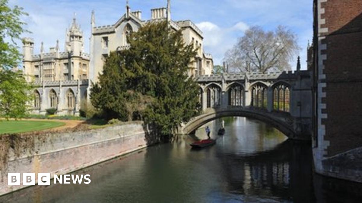 Cambridge academics call for more women professors - BBC News