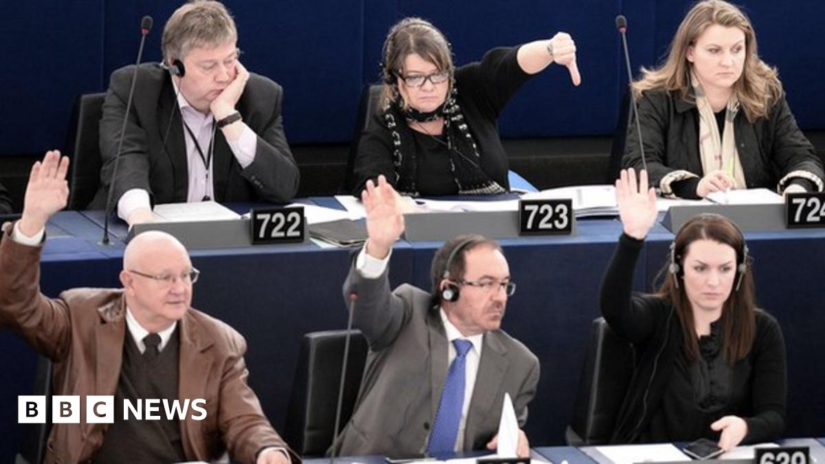 Guide to the European Parliament: Introduction - BBC News