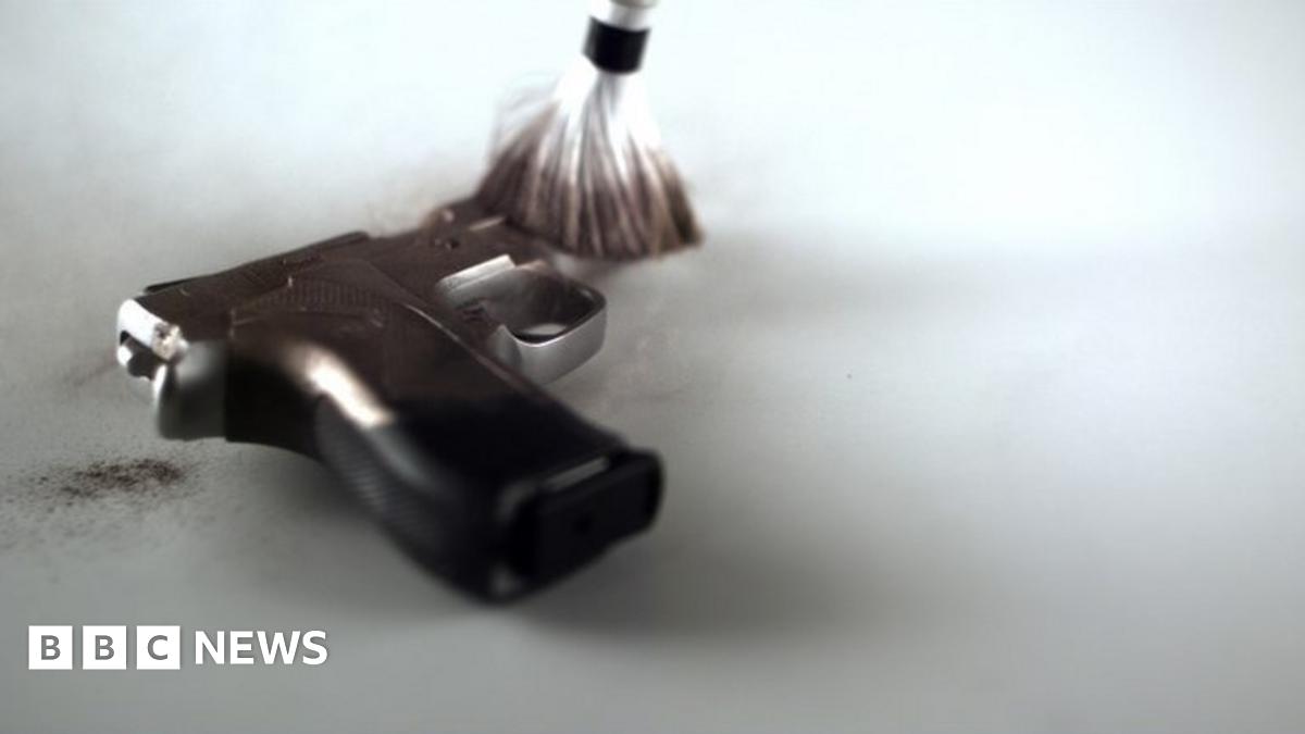 Austrian police arrest suspected Russian hitman - BBC News