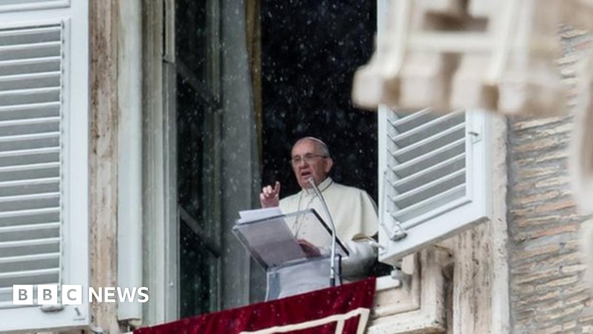 Vatican: Holy Father uses unholy word by accident - BBC News