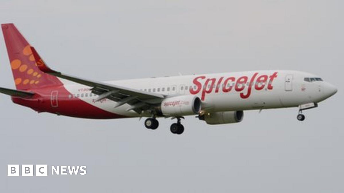 Indian airline SpiceJet hits buffalo during take-off - BBC News