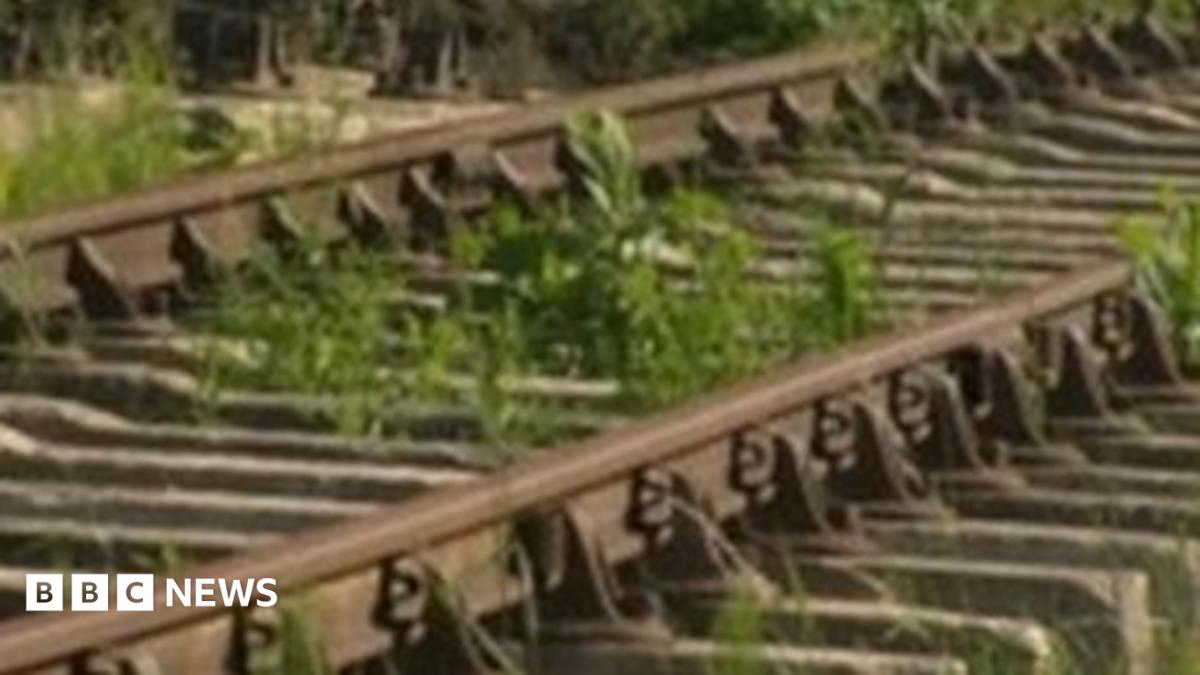 Hopes boosted for the reopening of the Wisbech line - BBC News