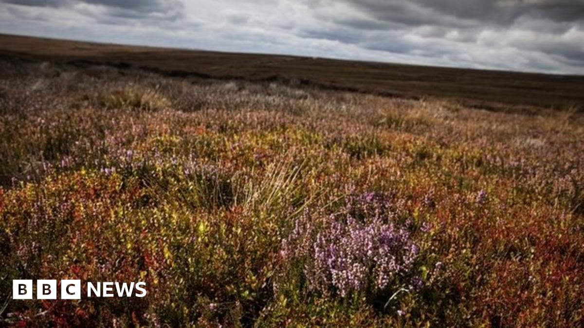 Fracking 'could harm wildlife' - BBC News