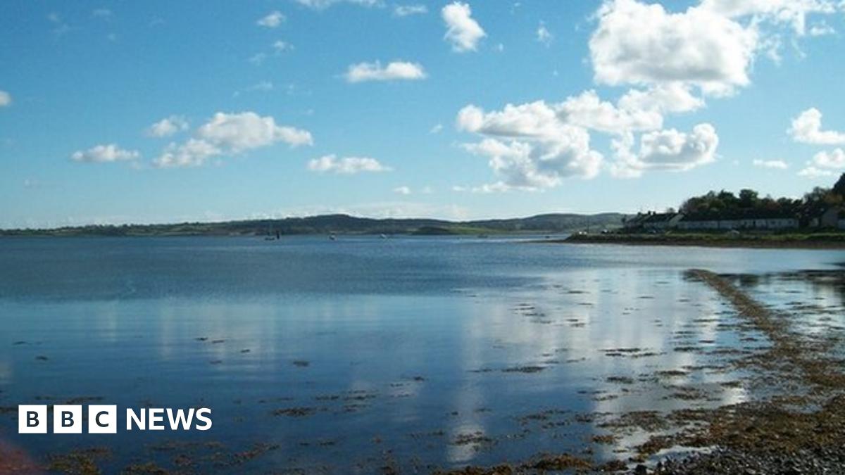 Teenage canoeists rescued from Strangford Lough near Killyleagh - BBC News