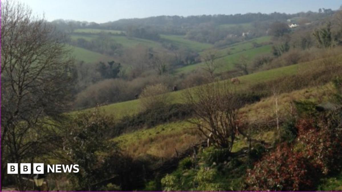 Residents oppose Combe Valley housing plan - BBC News
