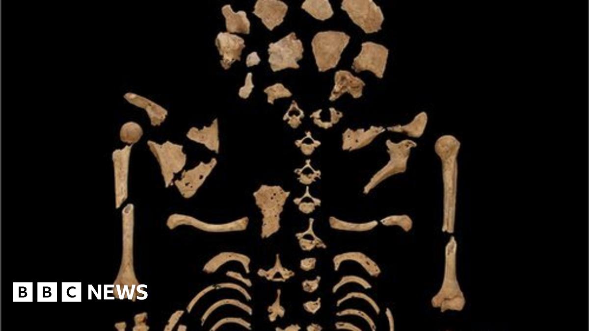 Ancient skeleton is the earliest case of cancer yet detected - BBC News