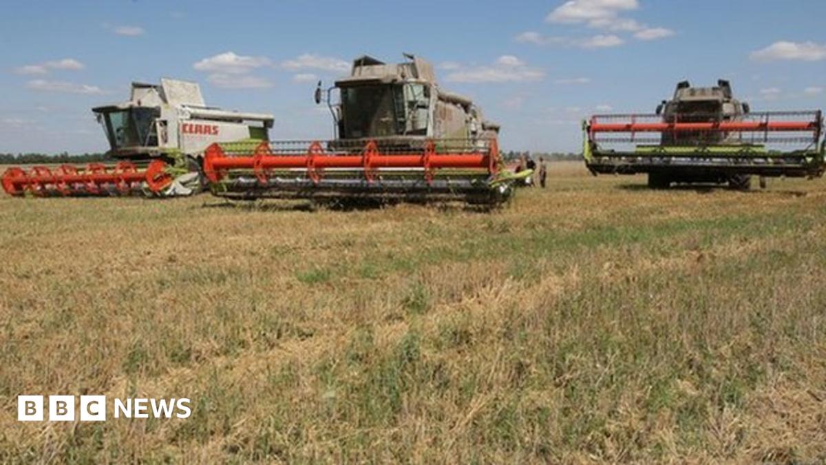 Wheat prices rise on Crimea and Ukraine worries - BBC News