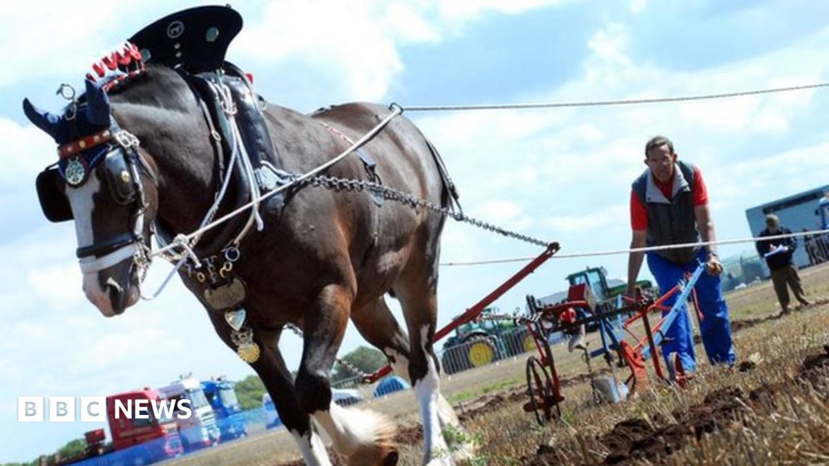 Historic Moorgreen Country Show cancelled - BBC News