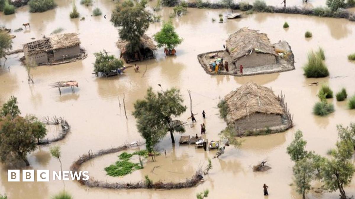 Climate impacts 'overwhelming' - UN - BBC News