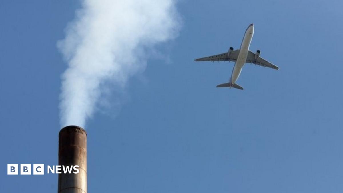 Climate change: The possible effects - BBC News