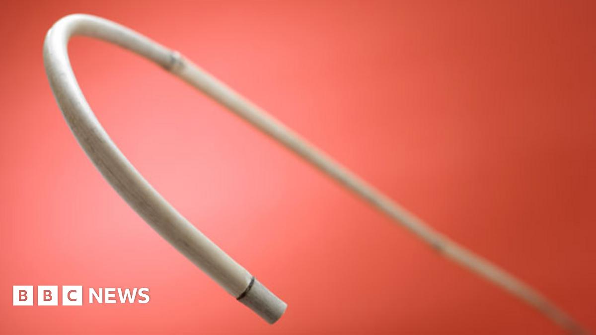 Malaysia's love for the cane is questioned - BBC News