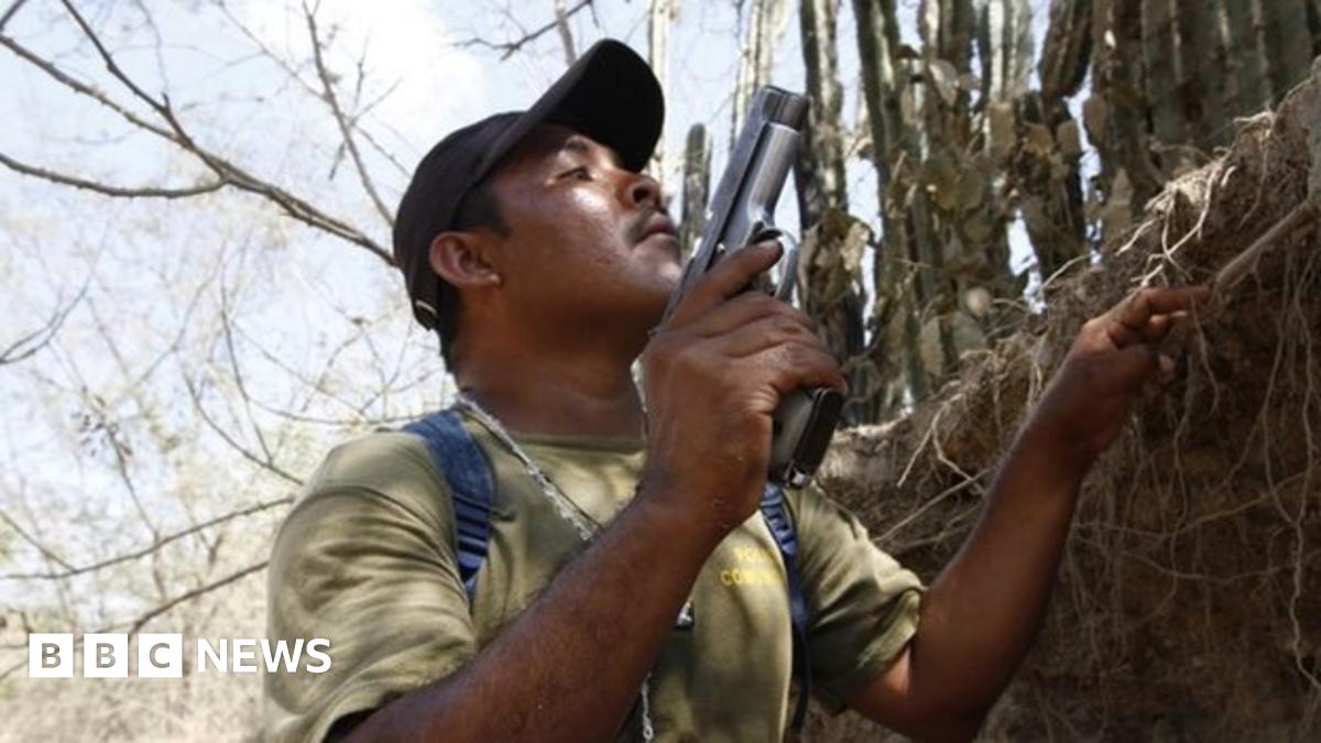 Mexican vigilantes protest against plans to disarm them - BBC News