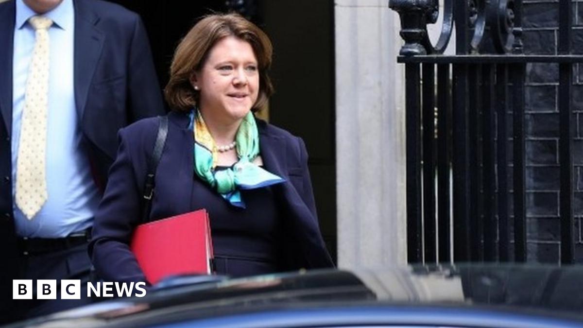 Maria Miller aide condemns media 'witch-hunt' - BBC News