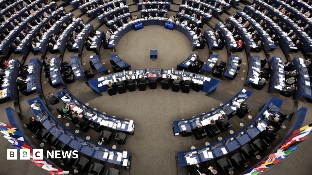 Scotland's European election: A basic guide on what to know - BBC News
