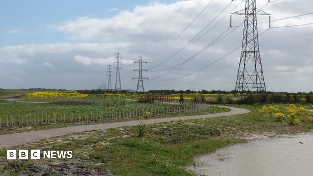 Steart Peninsula's £21m wetland habitat opens - BBC News