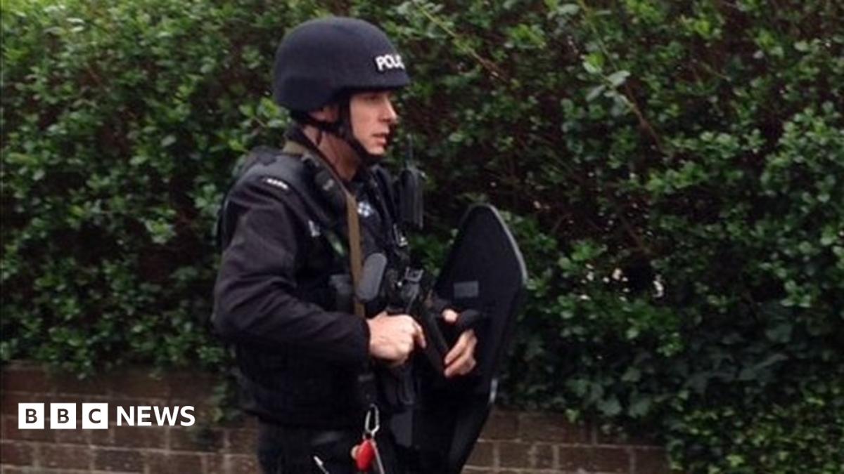 Teignmouth house surrounded by police amid sword fear - BBC News