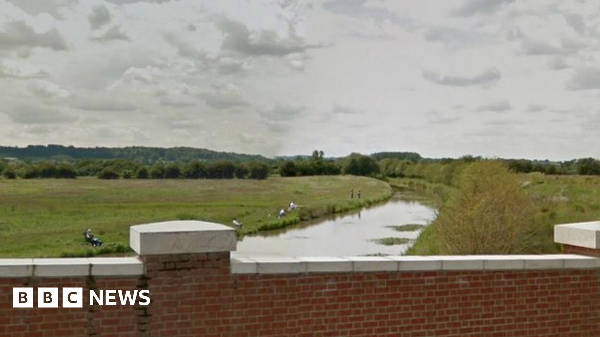 Fish removed from Swindon canal to prevent illegal fishing - BBC News