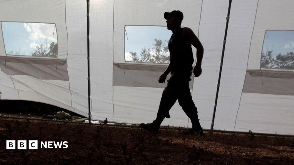 Day in pictures: 15 April 2014 - BBC News