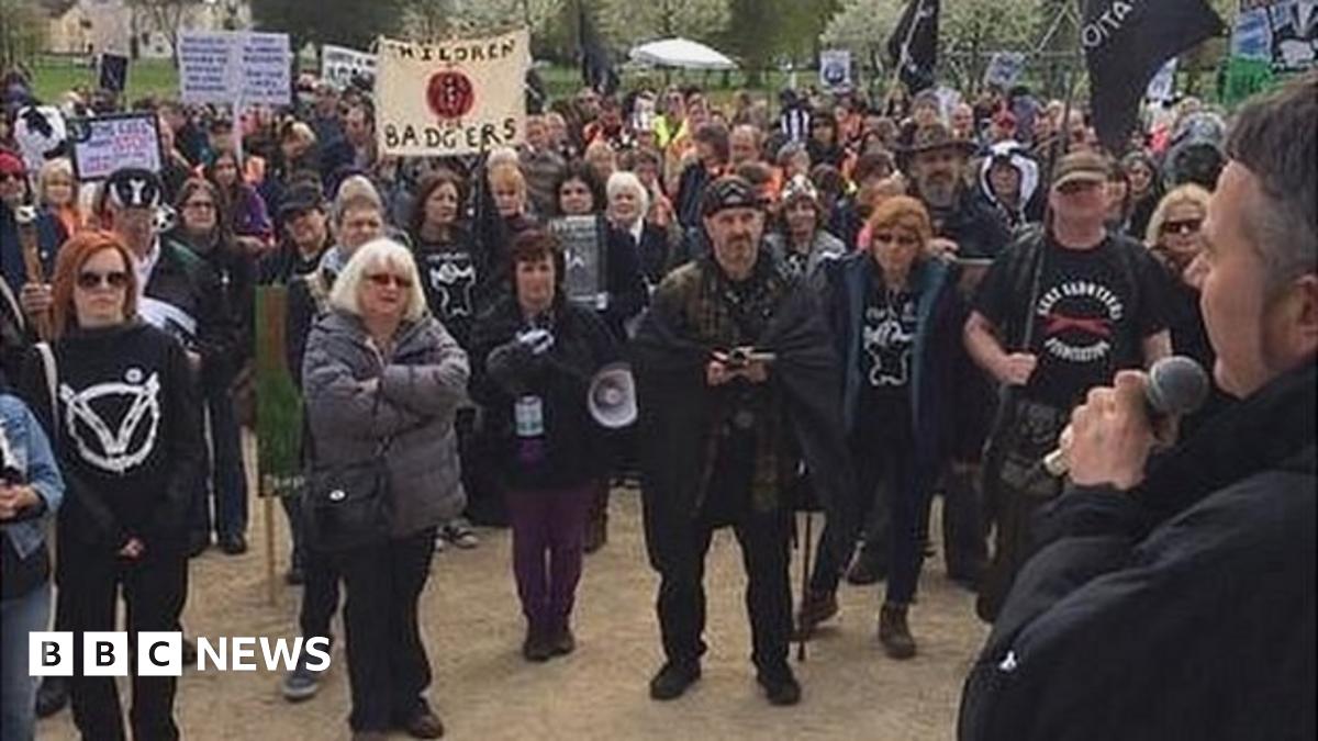 Hundreds march in Gloucester against badger cull - BBC News