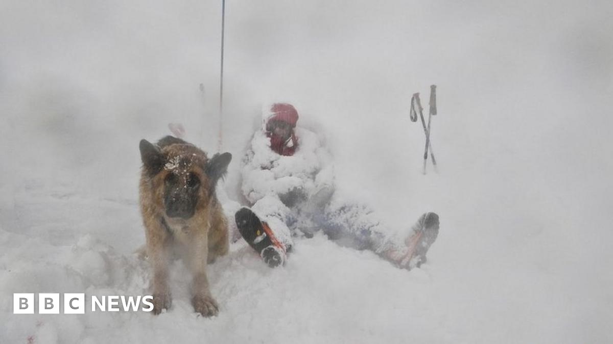 Cold mountains: Snapshots from avalanche team's latest season - BBC News